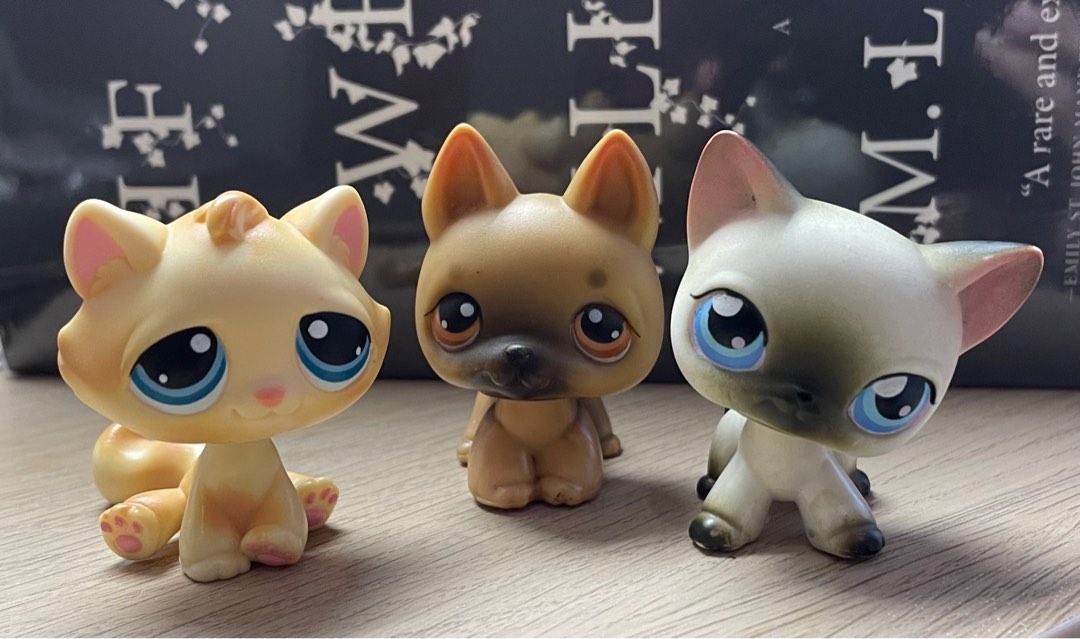 Littlest Pet Shop Bonbon Cat, German Shepherd, Siamese Cat, Hobbies ...