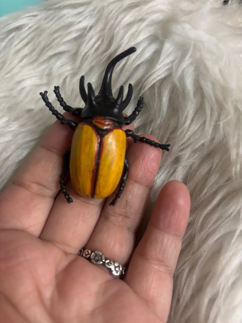 Realistic beetle toy, Hobbies & Toys, Toys & Games on Carousell
