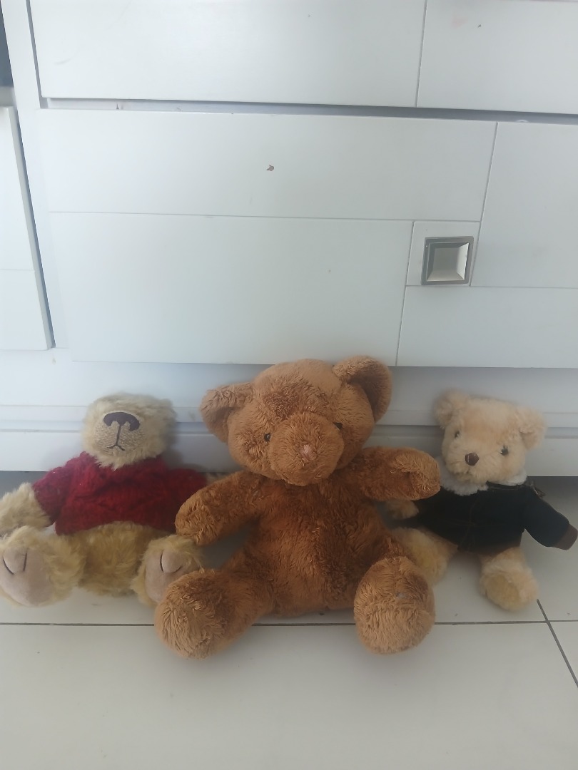 Teddy bear combo, Hobbies & Toys, Toys & Games on Carousell