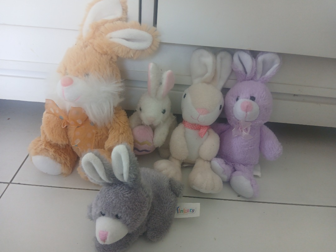 Teddy bear combo, Hobbies & Toys, Toys & Games on Carousell
