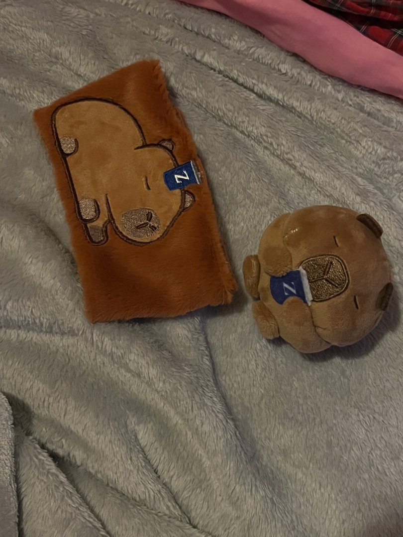 ZUS capybara pin & cup holder, Hobbies & Toys, Collectibles ...