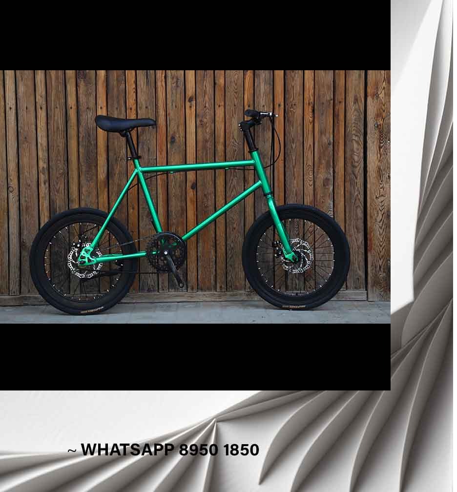 20 Inch 1 Speed MINI VELO [Chrome Green] Bicycles Fixie Bike ...