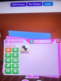 Border Collie Adopt Me, Video Gaming, Gaming Accessories, In-Game ...