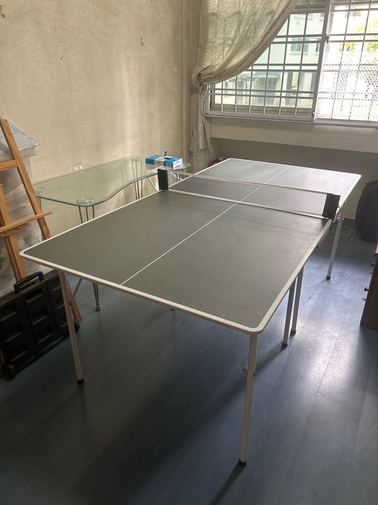 Decathlon Table Tennis / Ping Pong Table, Sports Equipment, Sports ...