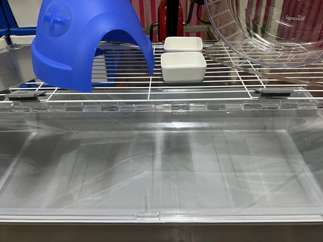 hedgehog cage zoo zone 2 niteangel wheel 32cm SET, Pet Supplies, Homes ...