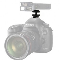 Standard Hot Shoe Adapter to 1/4'' Male Threaded Screw Cold shoe ...