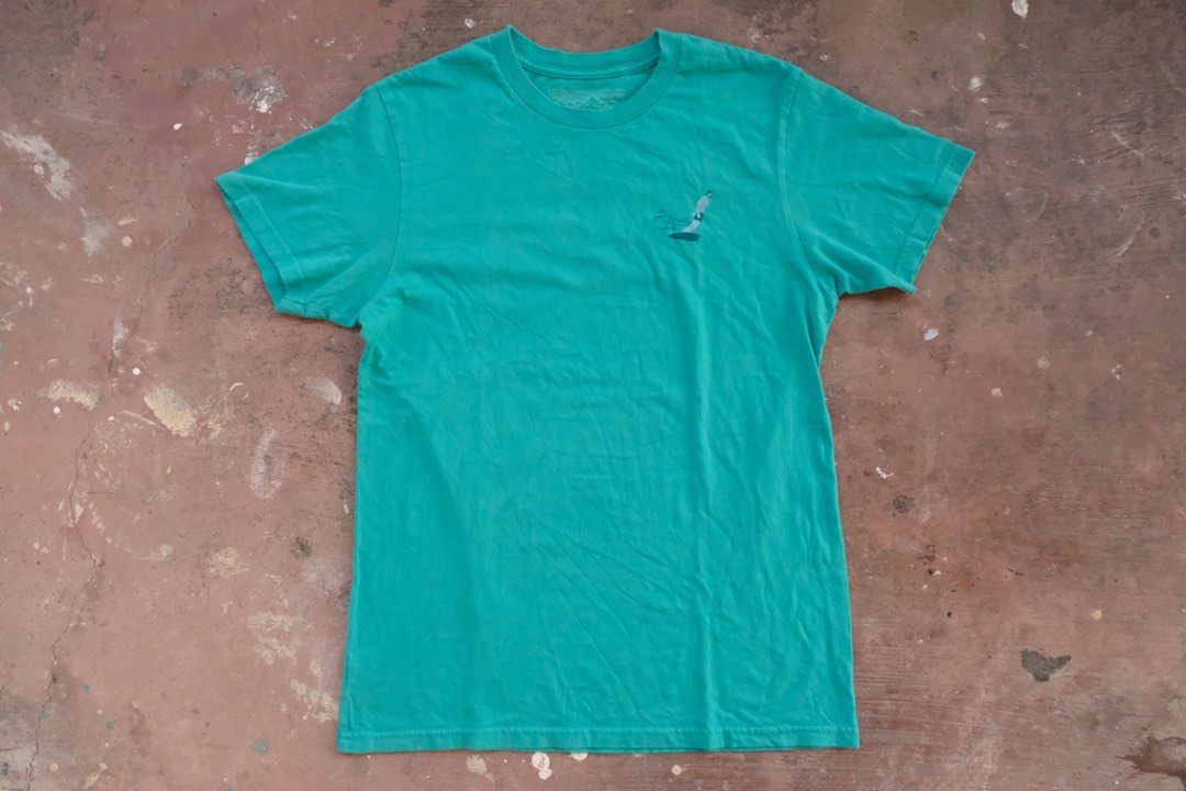 Patagonia the cleanest line, Men's Fashion, Tops & Sets, Tshirts & Polo ...