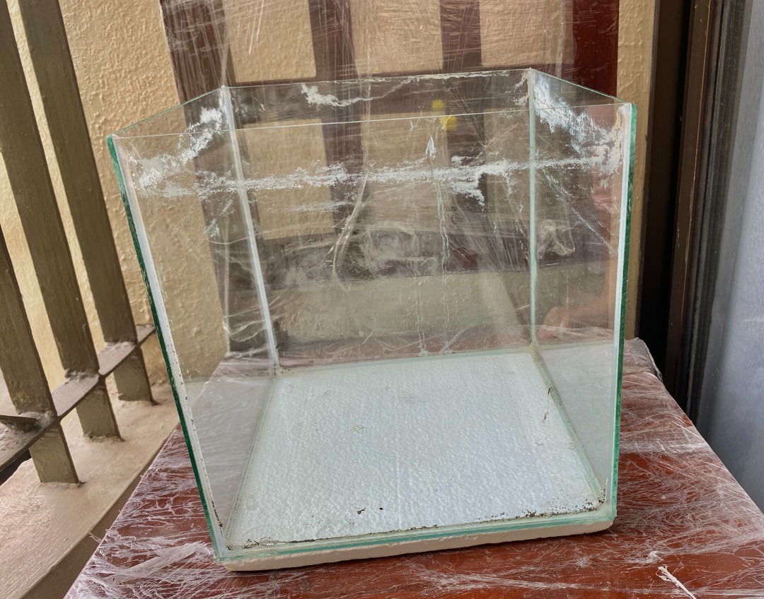 5 gallon cube aquarium fish tank & substrate, Pet Supplies, Homes ...