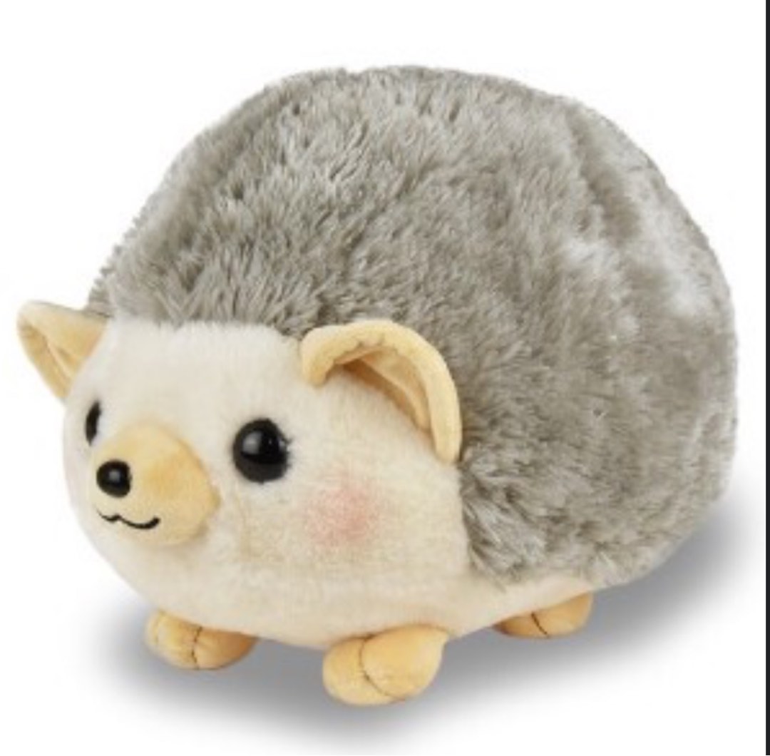 Amuse Collection hedgehog, Hobbies & Toys, Toys & Games on Carousell
