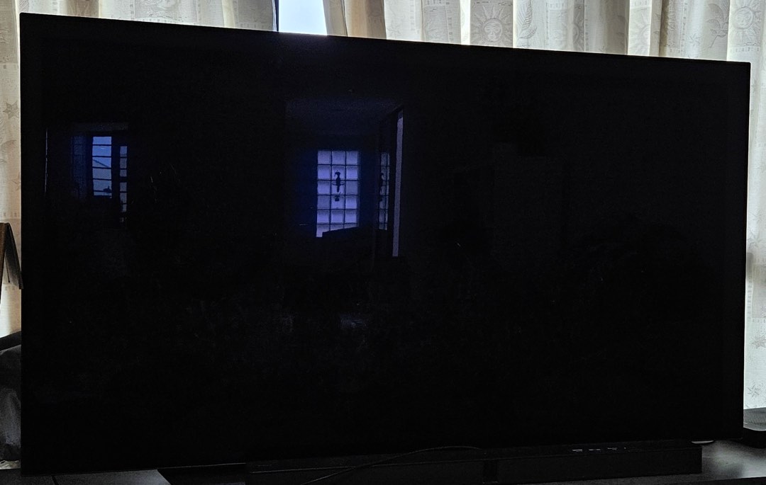 LG OLED 65” TV | Cracked Screen, TV & Home Appliances, TV ...