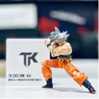 SHF CUSTOM 1/12 SCALE TK DIY UPPER TORSO KIT for SHF, Toys ...
