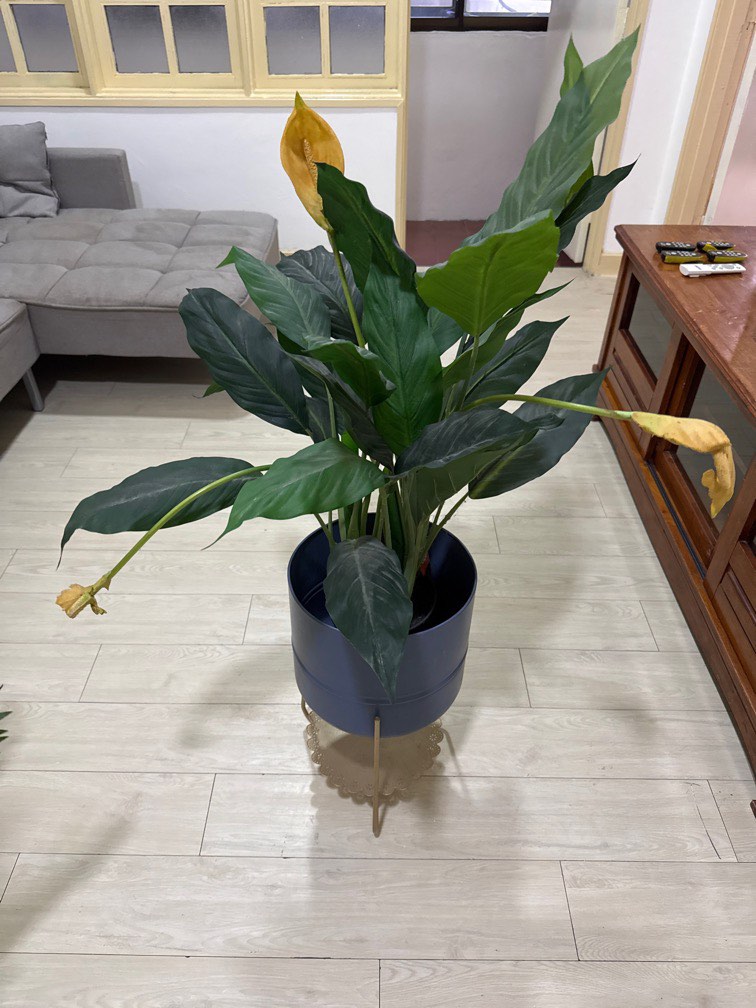 SSF artificial plant with metal vase stand, Furniture & Home Living ...