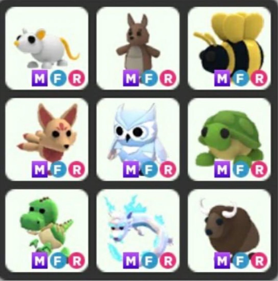 ADOPT ME MFR PETS, Video Gaming, Gaming Accessories, In-Game Products ...
