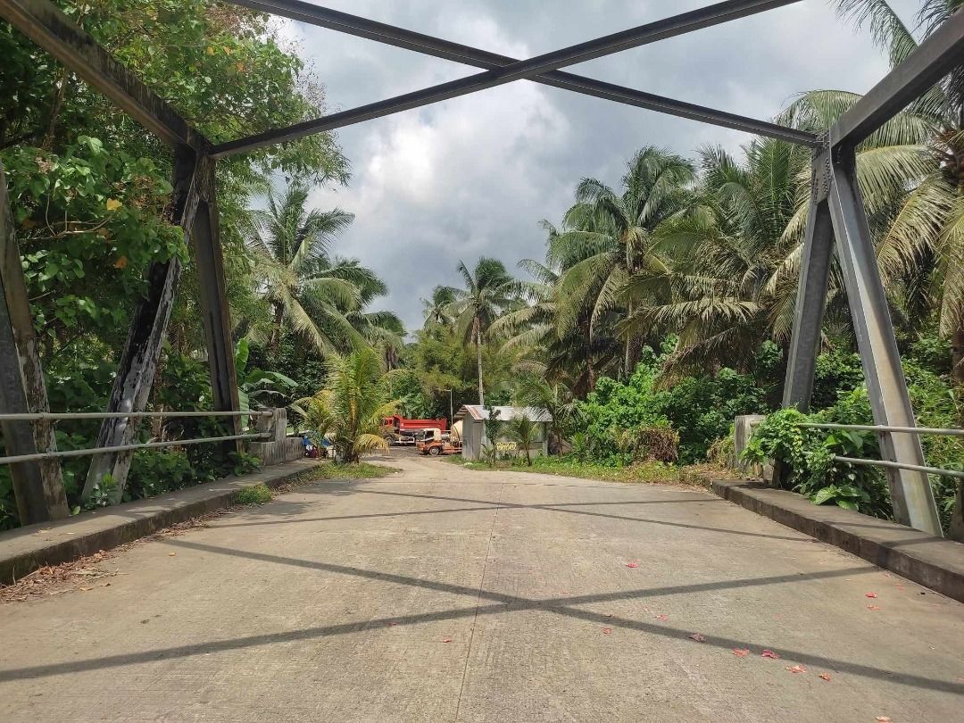 25 hectares agricultural lot with coconut and Pili trees for sale ...