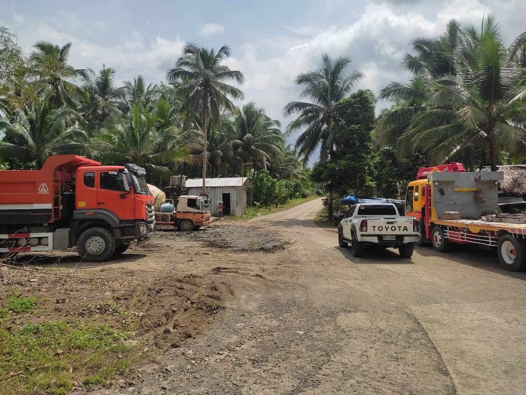 25 hectares agricultural lot with coconut and Pili trees for sale ...