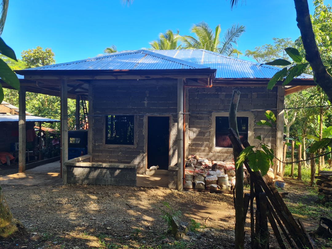 House and Lot for Sale, Property, For Sale, House & Lot on Carousell