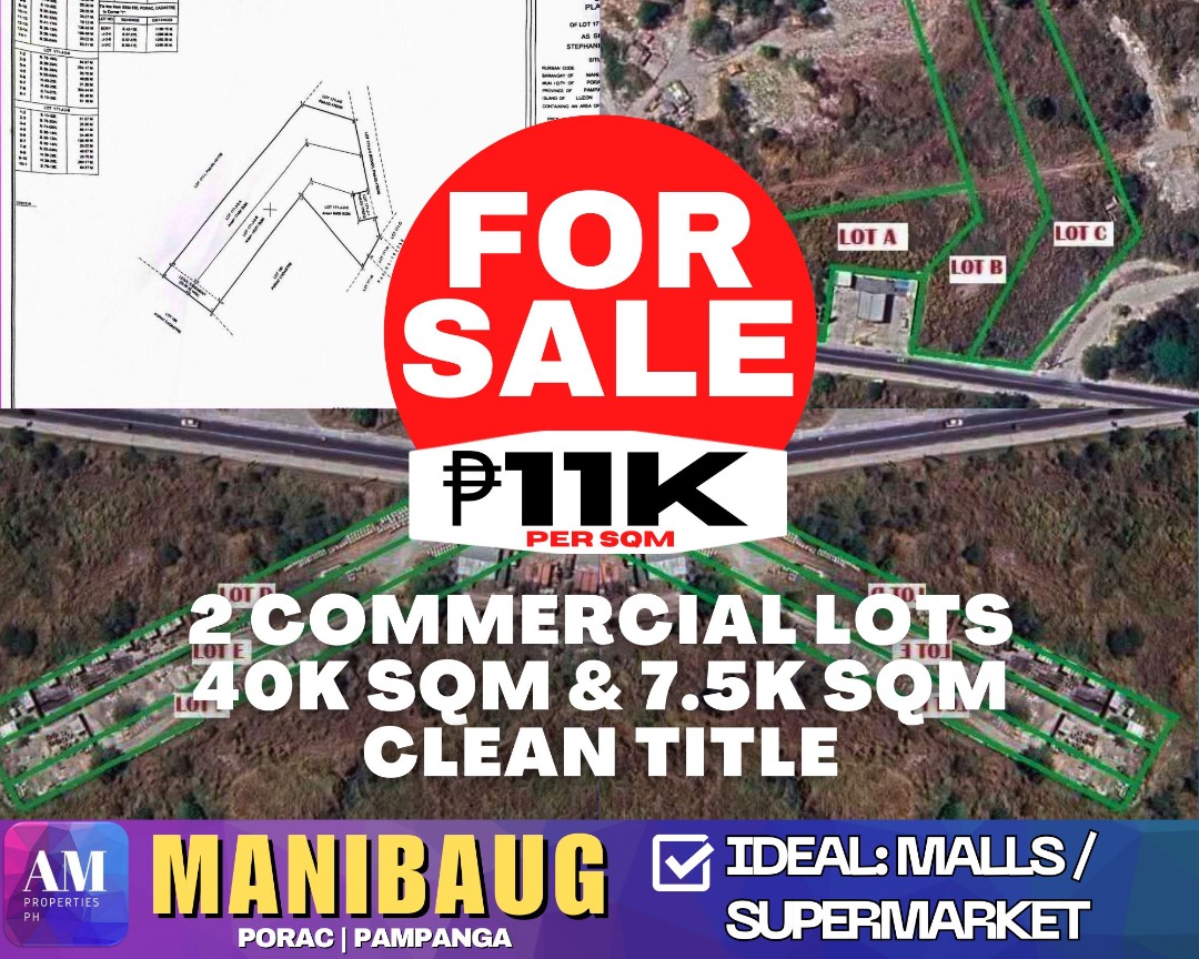 Manibaug Porac, Pampanga 2 Commercial Lots 40K sqm & 7.5K sqm, clean ...