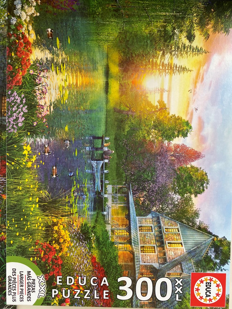 Educa 300 pieces Jigsaw, Hobbies & Toys, Toys & Games on Carousell