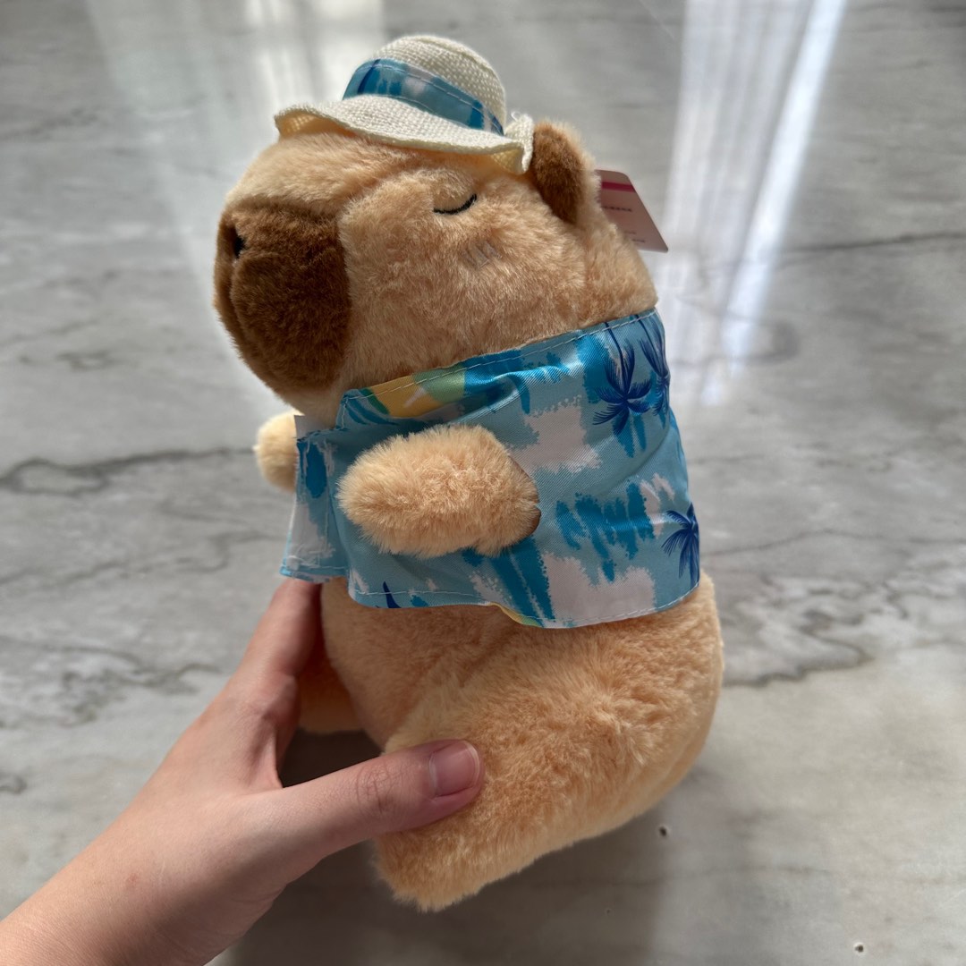 NEW Boneka capybara capibara kapibara baru mas bro liburan vacation ...