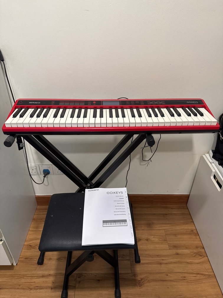 Roland GO:KEYS - 61 Key Music Creation keyboard with adapter, Hobbies ...