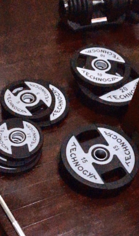 Technogym Plates, Sports Equipment, Exercise & Fitness, Weights ...