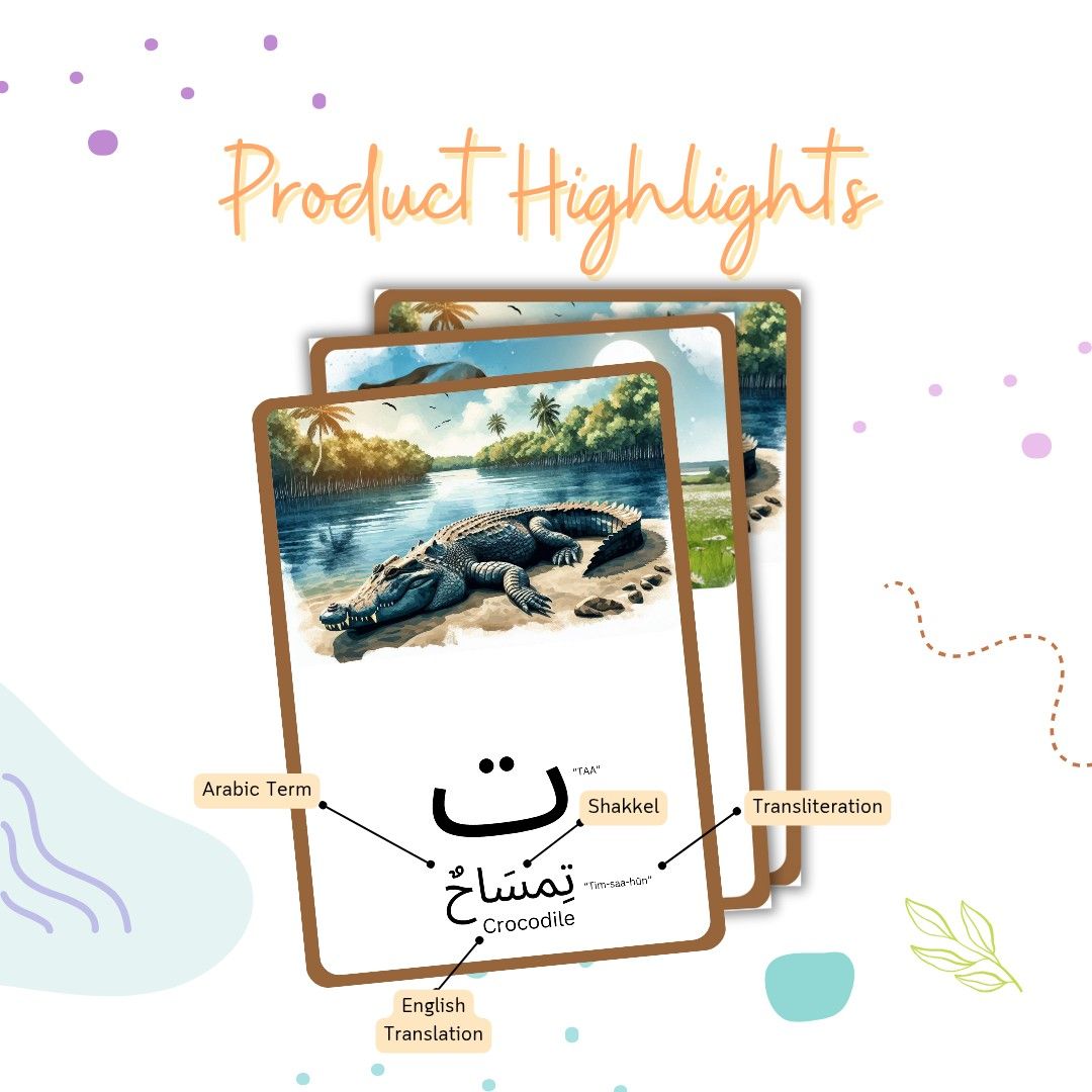 [NEW LAUNCH] Arabic Flashcards (28 Animals 28 Cards) with Beautiful ...