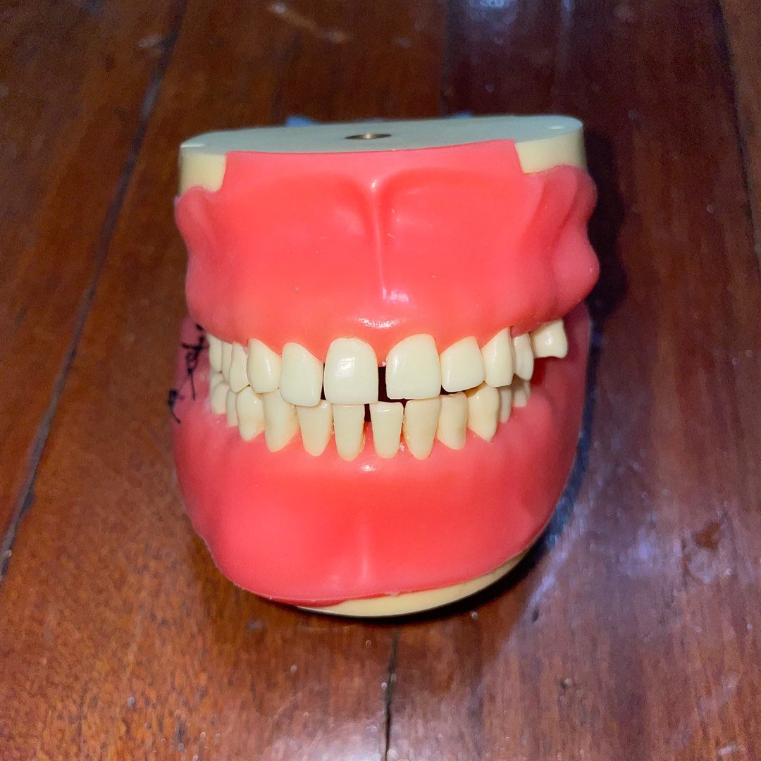 OS SS Articulator | Dental Materials Oral Surgery, Health & Nutrition ...