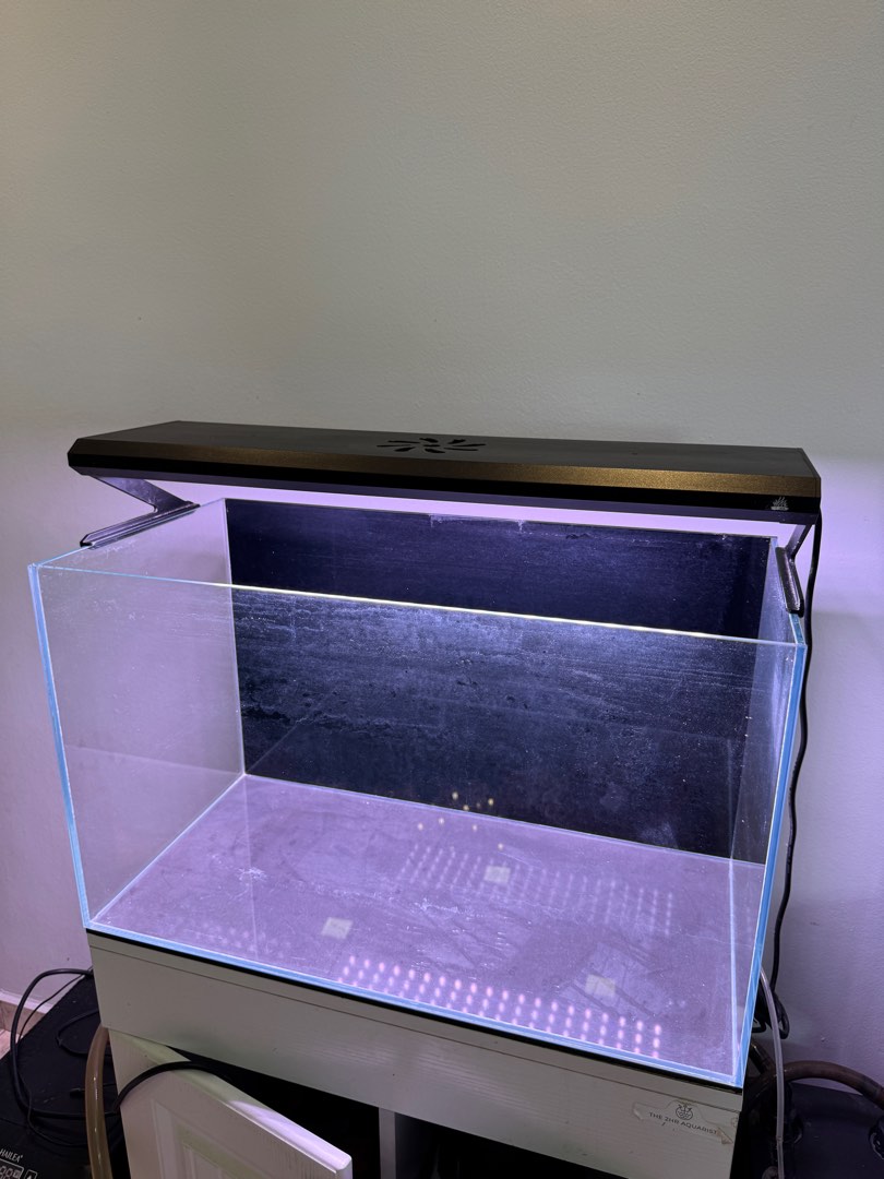 60cm Tank with Week Aqua P600 Pro, Pet Supplies, Homes & Other Pet ...