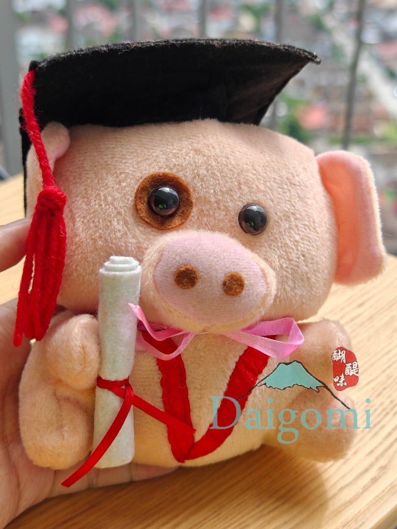 Graduation Piggy , Hobbies & Toys, Toys & Games on Carousell