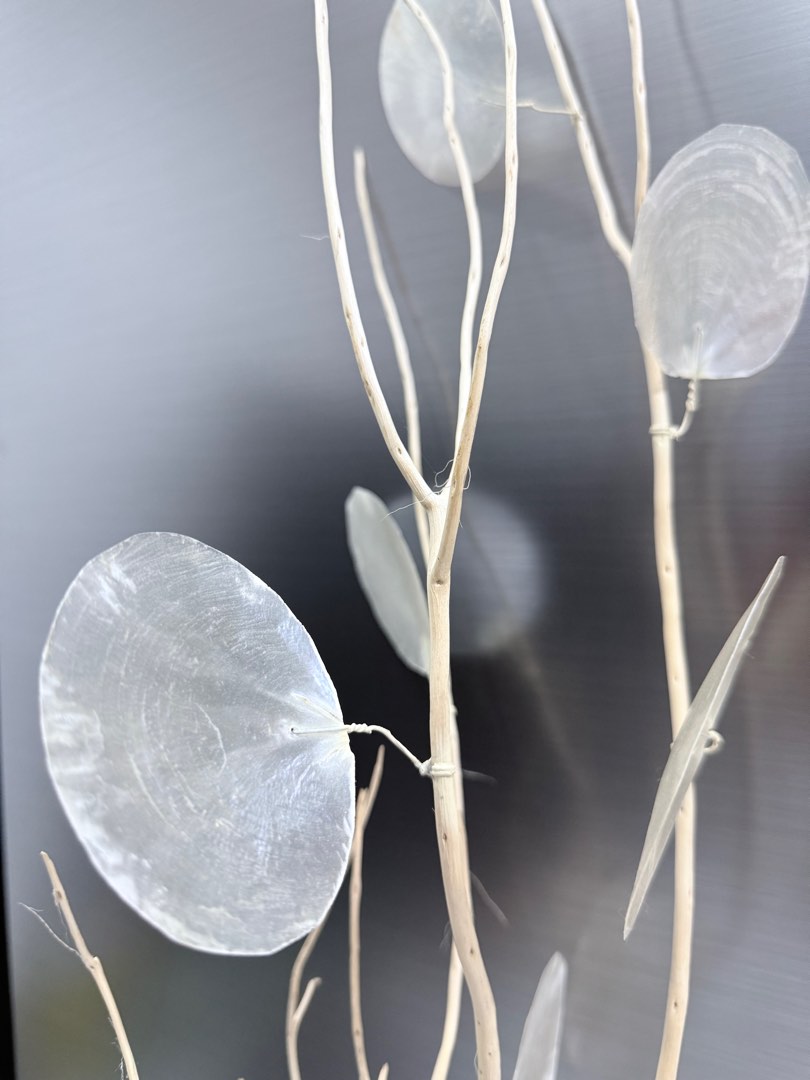 Capiz Shell Sticks for Interior Design, Furniture & Home Living, Home ...