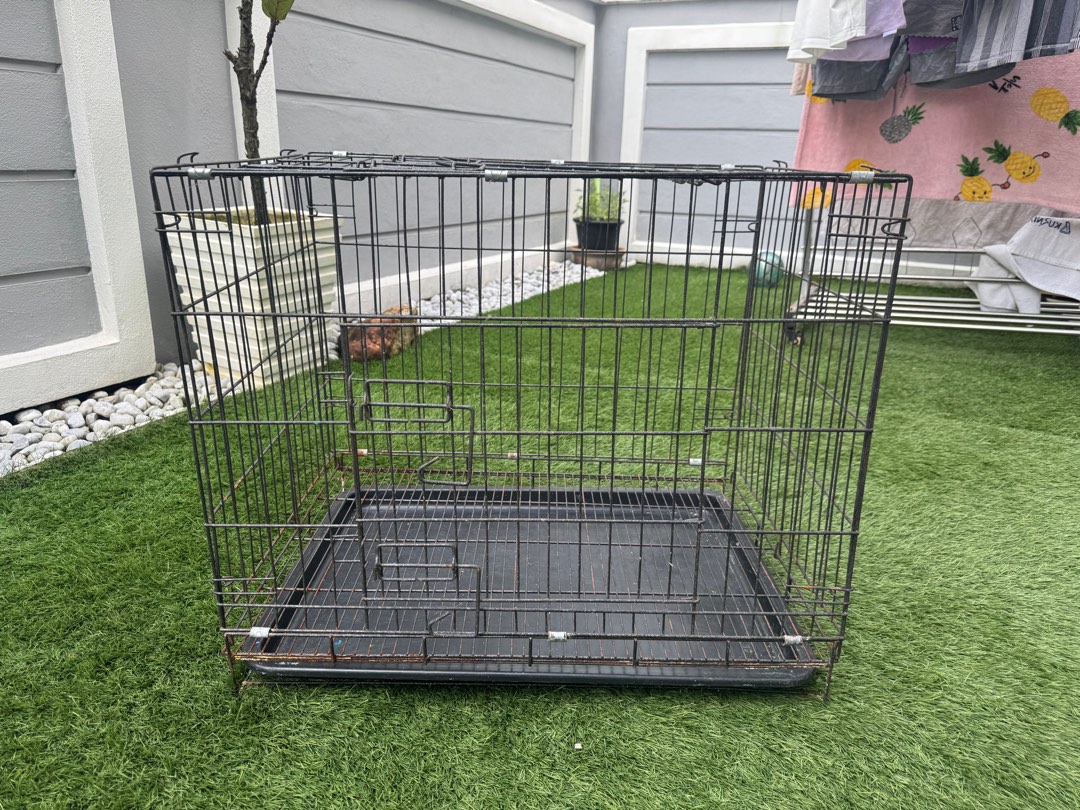 Sangkar Arnab/Kuching Besar - Cat/Rabbit Cage, Pet Supplies, Homes ...