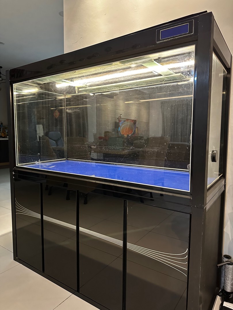 Fish Tank 5ft x 2ft x 2ft tank Aquaria, Pet Supplies, Homes & Other Pet ...