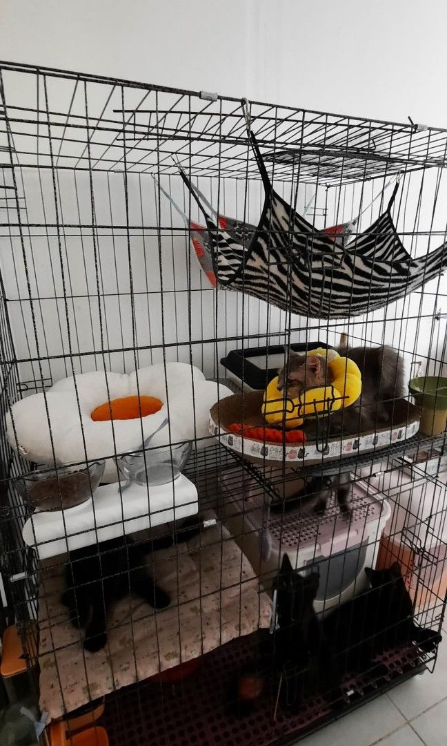 3ft Large Cat Cage (3 storey), Pet Supplies, Homes & Other Pet ...