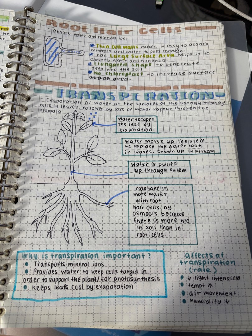 Year 8 and 9 science notes softcopy, Hobbies & Toys, Books & Magazines ...