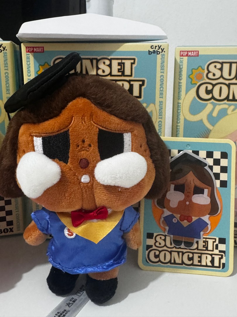 PopMart Crybaby Sunset Concert Plush Pendant Secret - Graduation Season ...