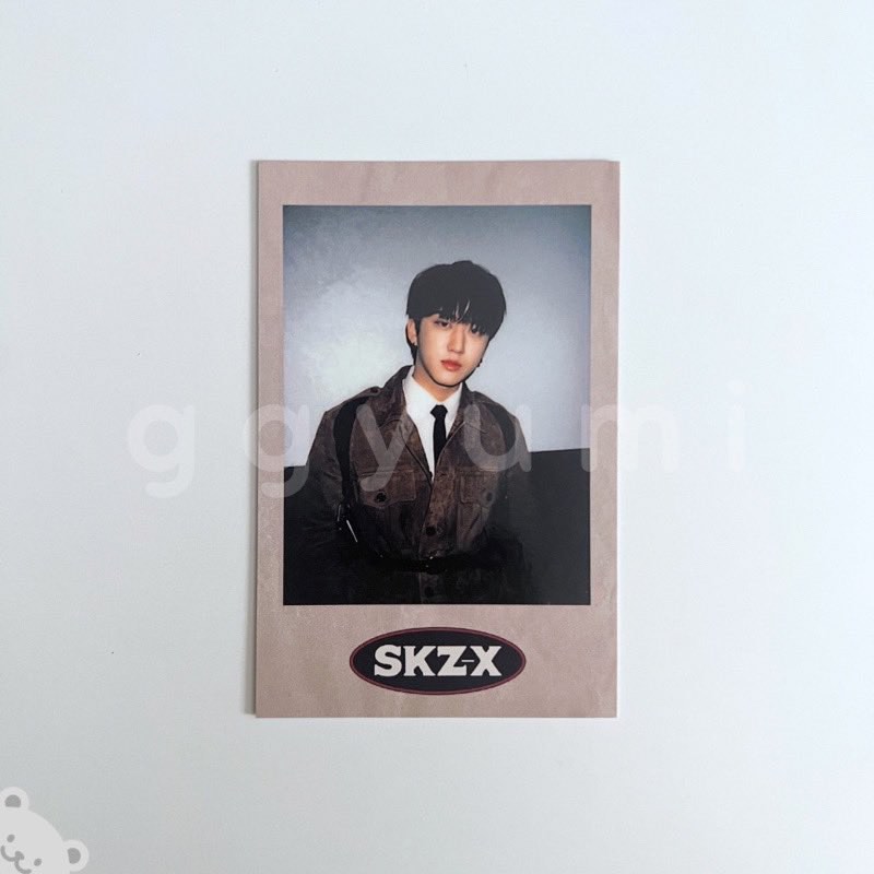 STRAY KIDS LoveSTAY SKZ-X official merch - Pola pob photocard ...