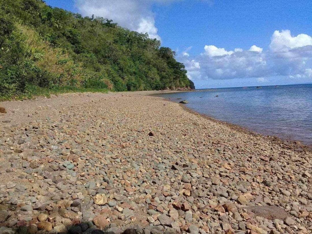 TITLED BEACH LOT WITH THE SCENIC VIEW OF MAYON VOLCANO PERFECT FOR ...