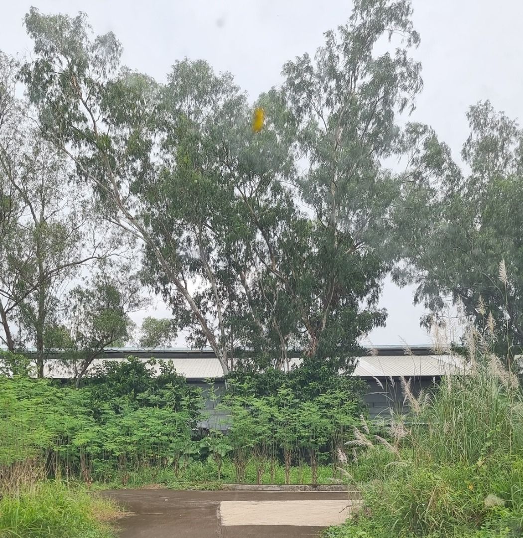 VACANT LOT FOR SALE BLOCK 4 LOT 19 - Phase 3A2 GREENWOODS EXCECUTIVE ...