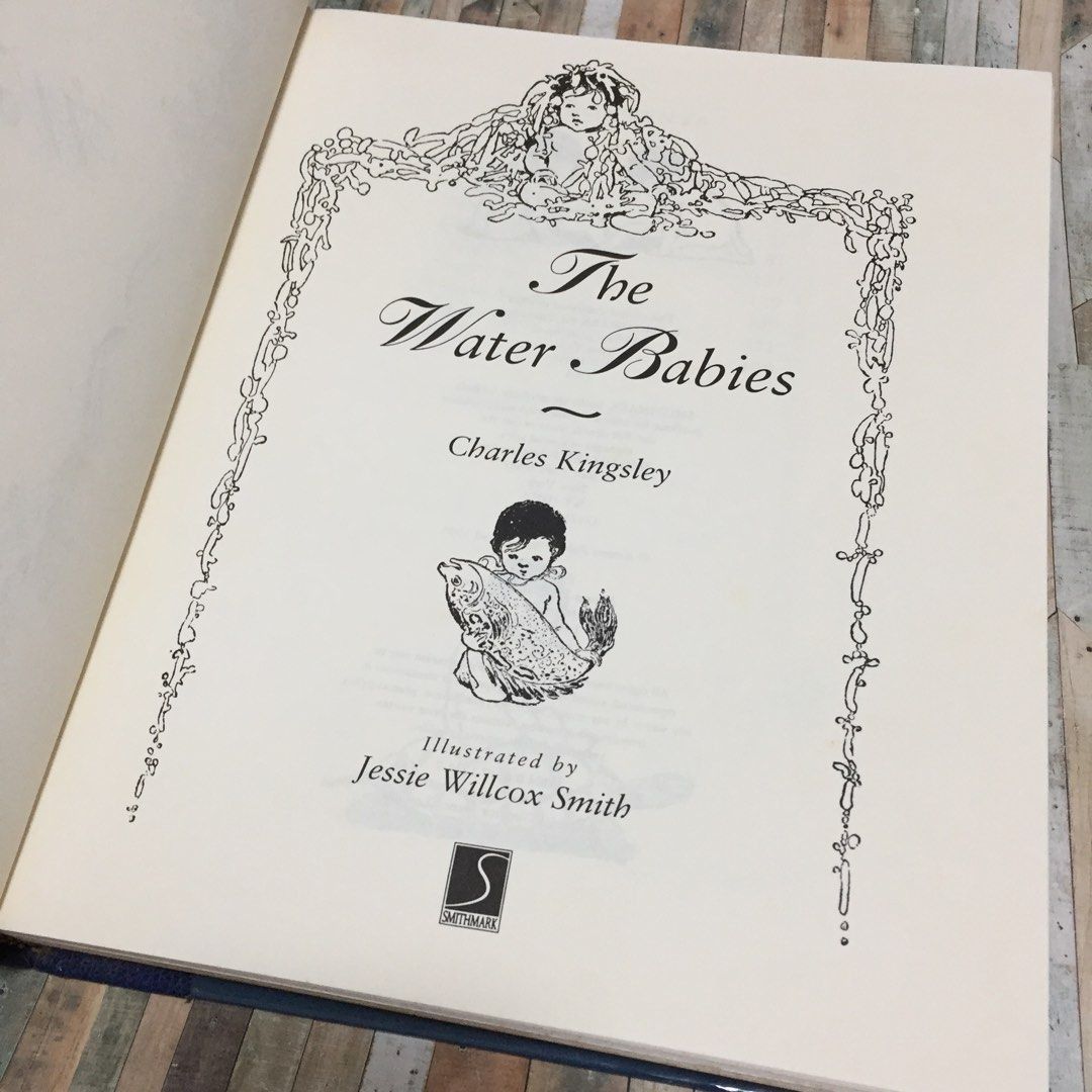 The Water Babies by Charles Kingsley, Hobbies & Toys, Books & Magazines ...