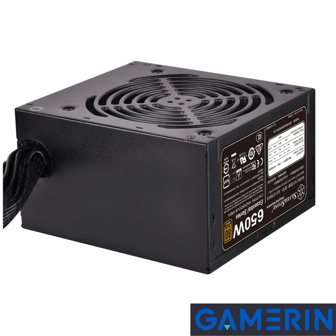(Free Shipping) SilverStone ET650 Power Supply Unit, Computers & Tech ...