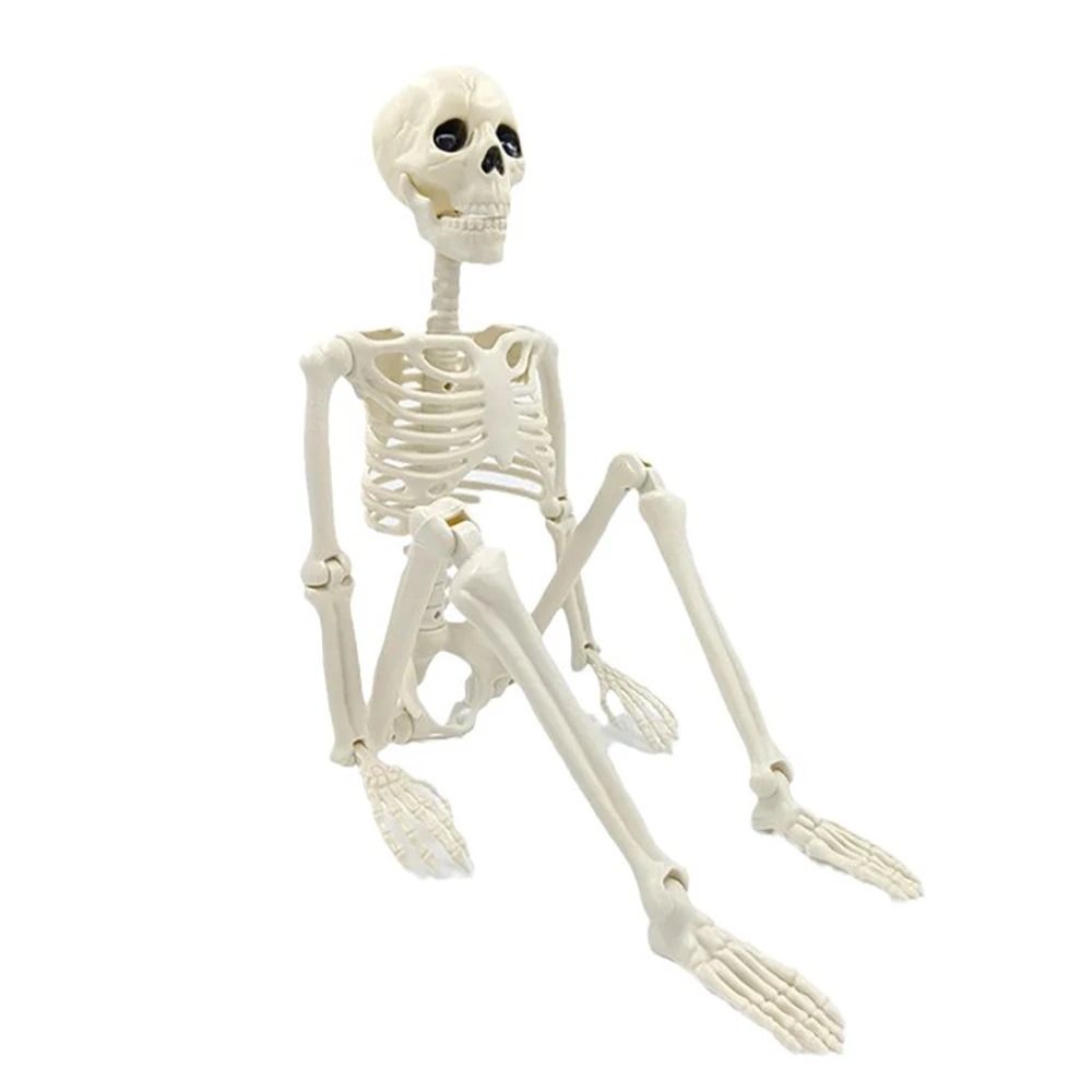 Halloween Decorations Skeleton,Posable Human Shape Skeleton,Halloween ...