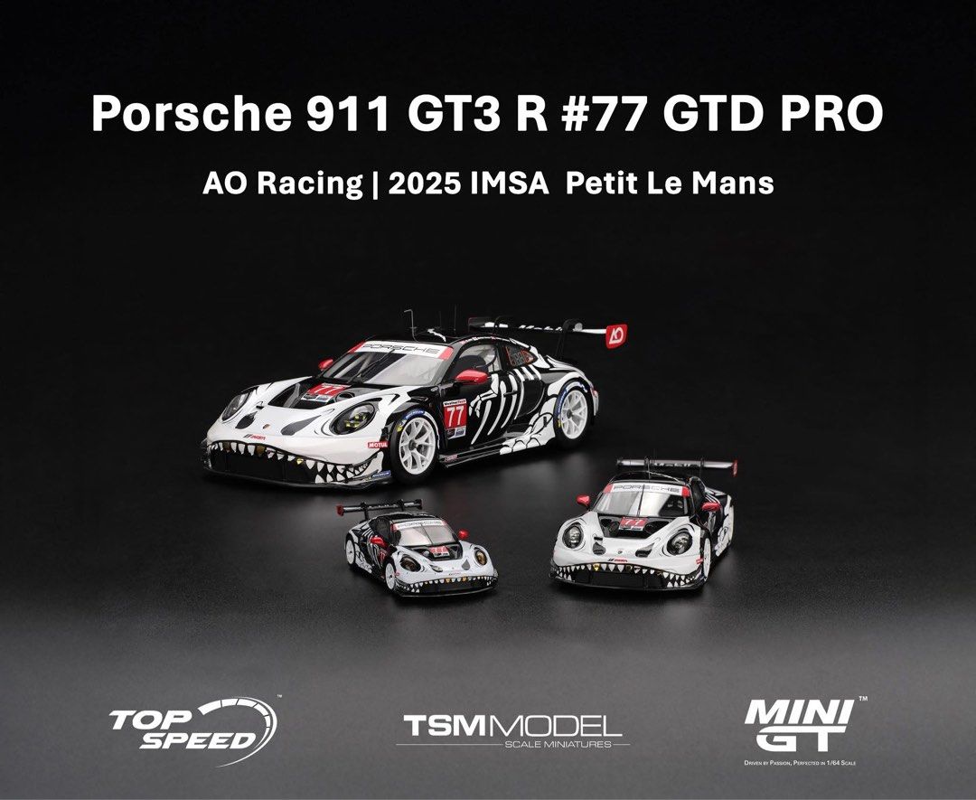 [PO] AO Racing’s Skeleton Rexy 2025 Petit Le Mans minigt, Hobbies ...