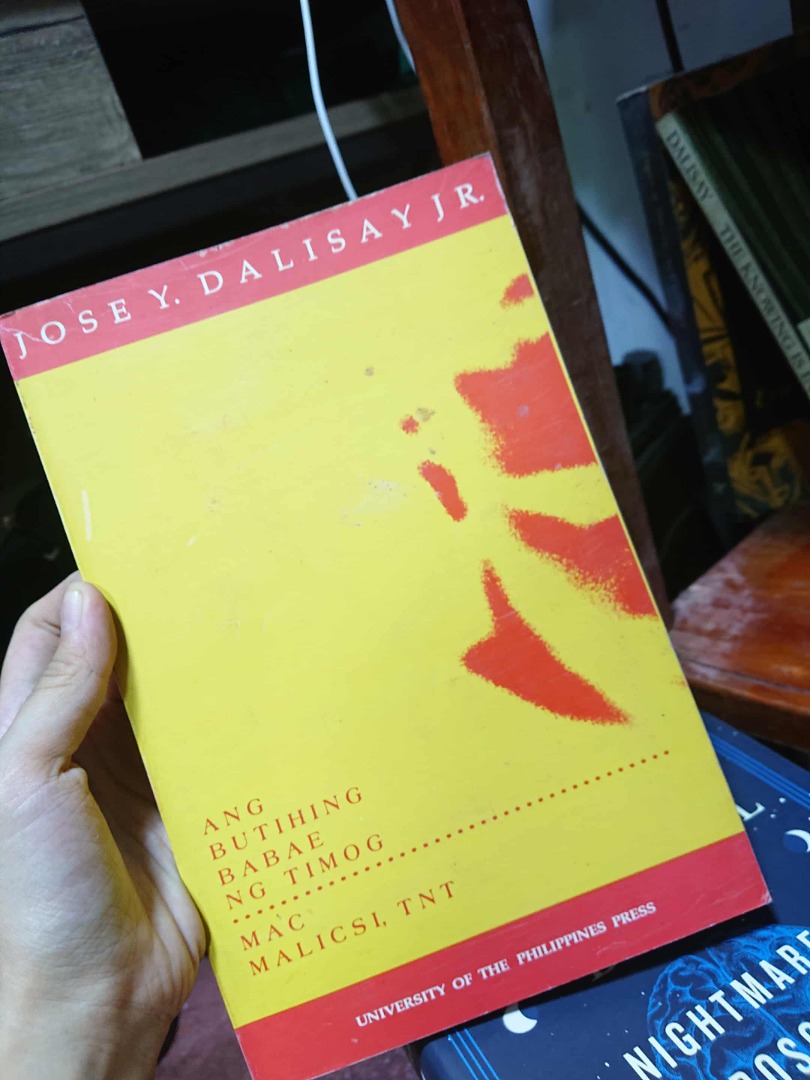 Ang Butihing Babae ng Timog by Jose Dalisay Jr, Hobbies & Toys, Books ...