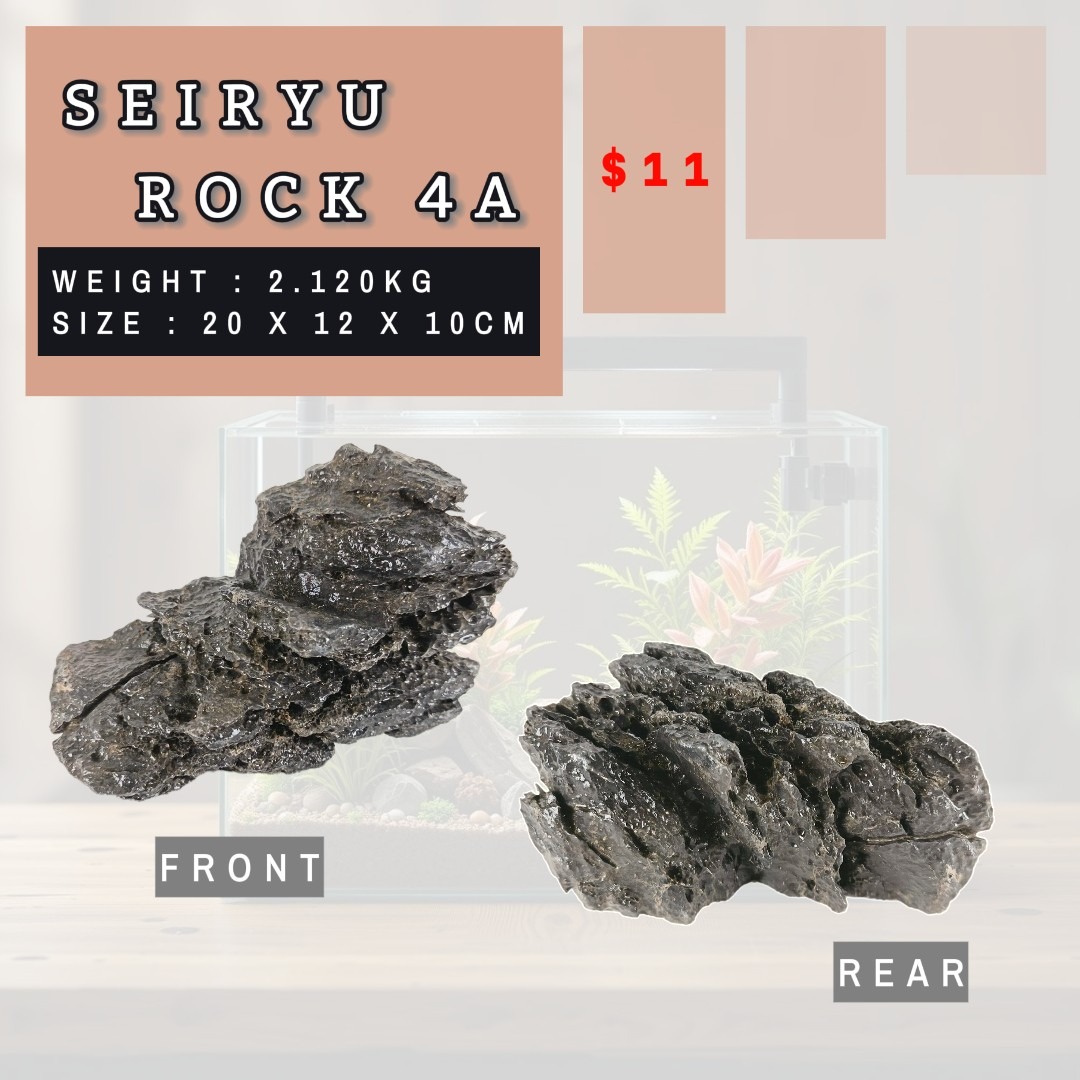 Seiryu Rocks 4a to 4f - for your aquascape, terrarium or paludarium ...