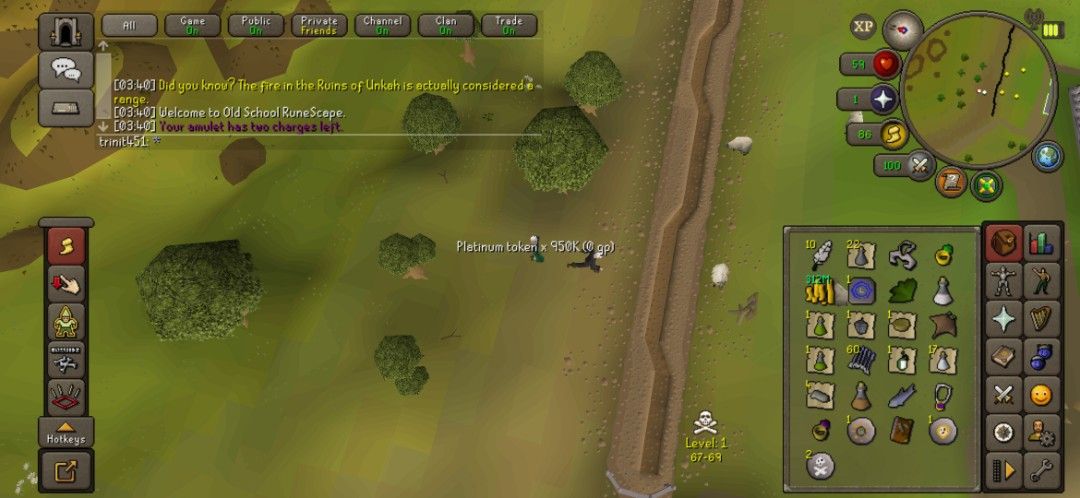 0.22-0.23 OSRS runescape safe gold/gp, Video Gaming, Gaming Accessories ...