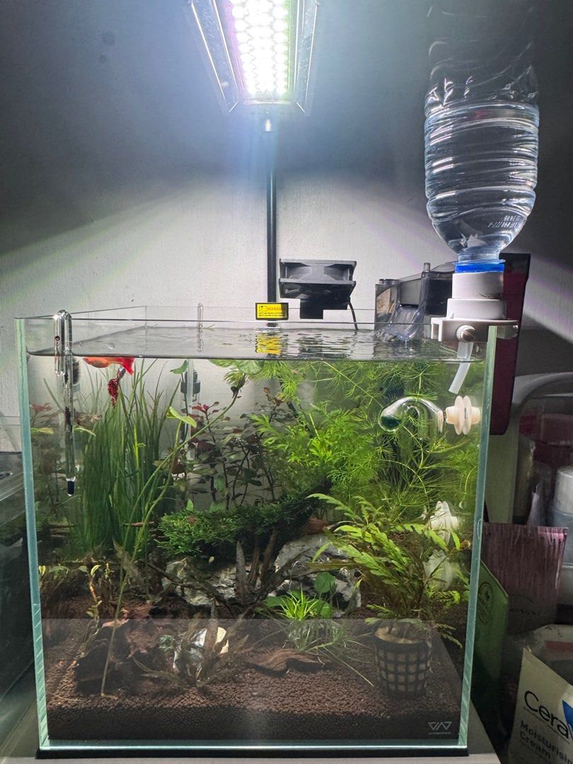 Aquarium Complete Set VIV Ultra Crystal Clear Tank Aquascape Chihiros RGB Light Co2 Mini ...