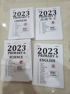 2025 Latest Primary 6 Prelim Exam Papers from top schools MOE, Hobbies ...