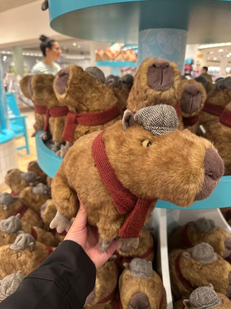 [預訂] Jellycat Clyde Capybara Hipster Soft Toy 21cm, 興趣及遊戲, 玩具 & 遊戲類 - Carousell