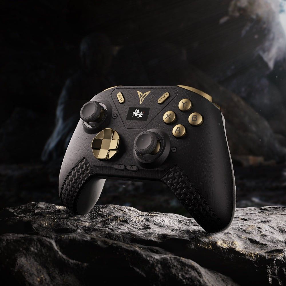 Flydigi Apex 4 Elite Gaming Controller - Black Myth Wukong, Video Gaming, Gaming Accessories ...