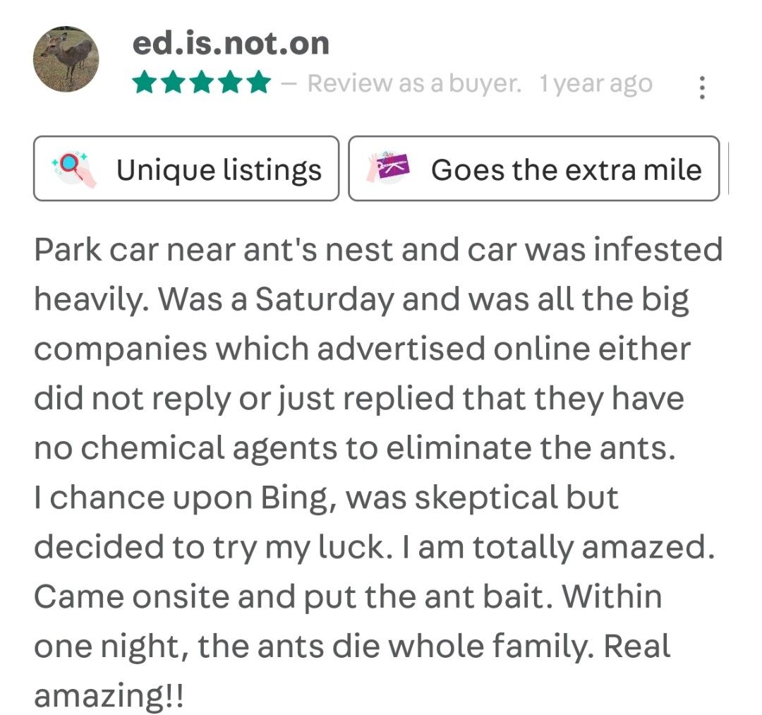 Free car wash Pest control Ants lizard 99.99% catch 24/7 cockroch bed ...
